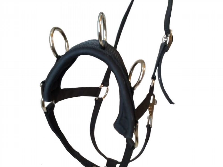 Капцунг (кавессон) для лошади тесьмяный Rider
