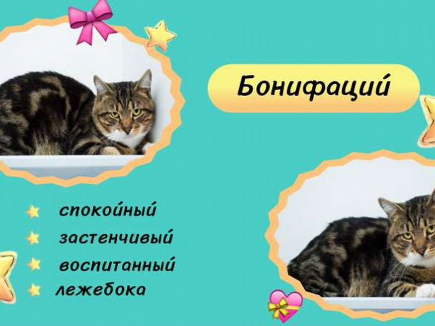 Плюшево-мягкий Бонифаций