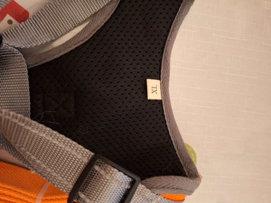 Поводок и шлейка для собаки