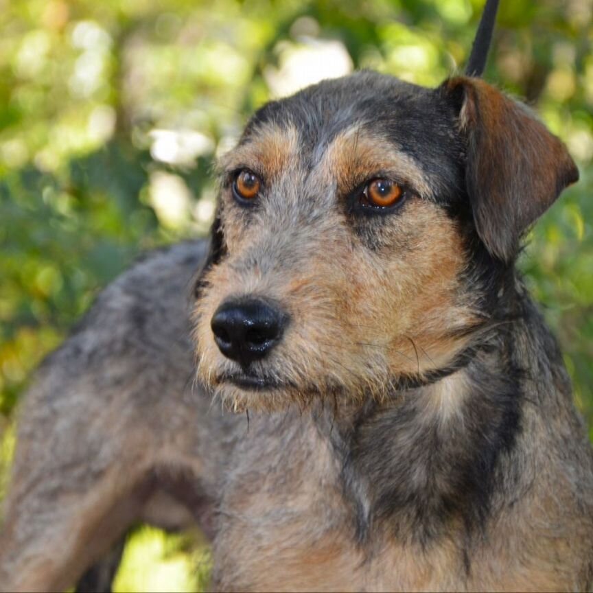 Мальчишка в поисках дома