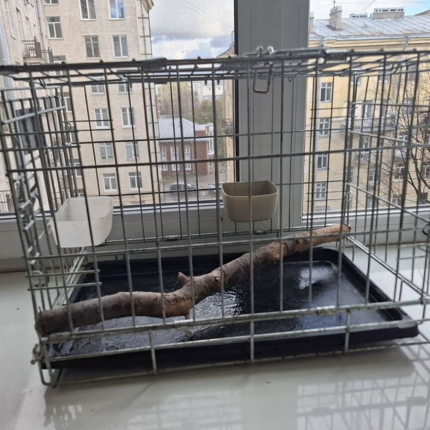 Клетка переноска для собаки кошки