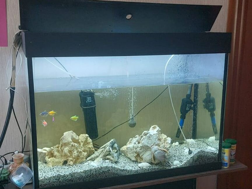 Аквариум б/у с тумбой рыбами и всем содержимым