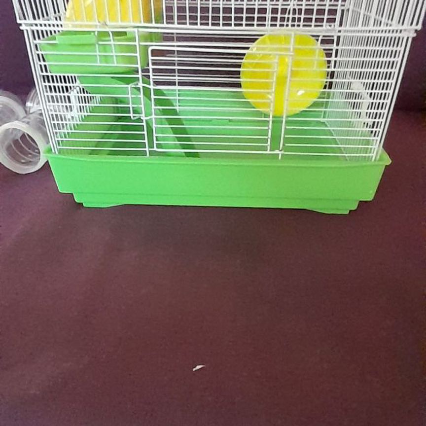 Клетка для джунгарского хомяка