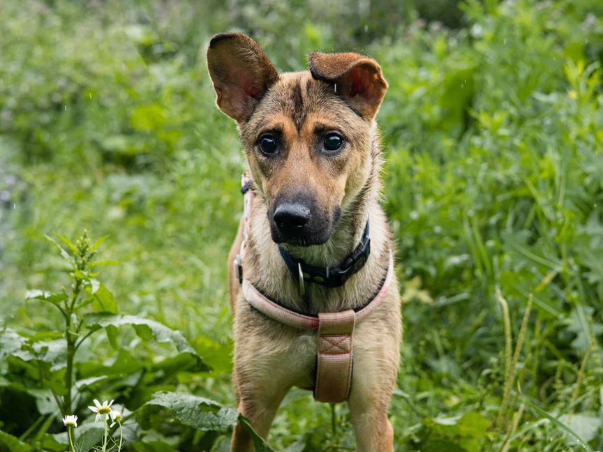 Особенная Мэри ищет дом