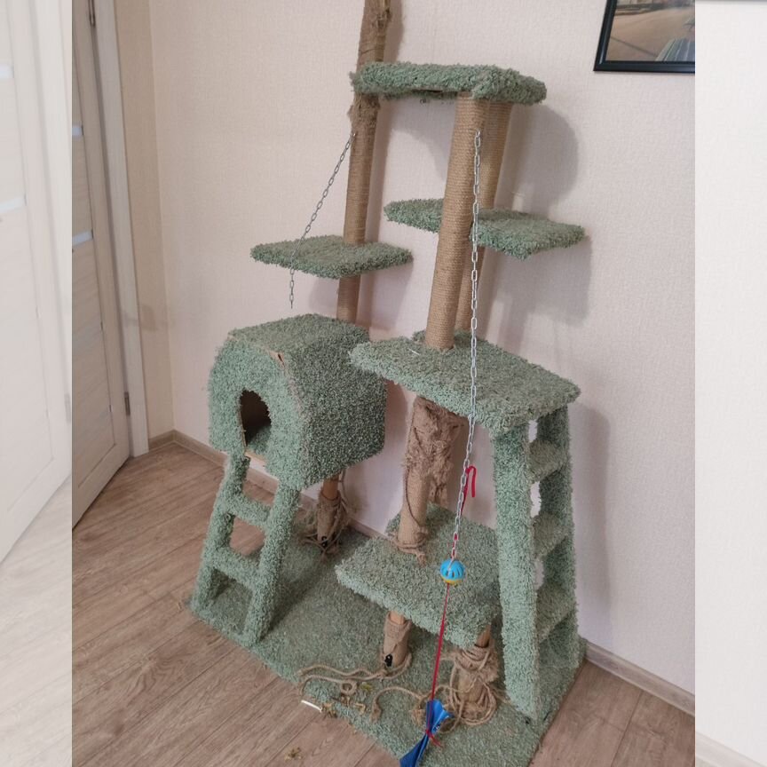 Когтеточка бу