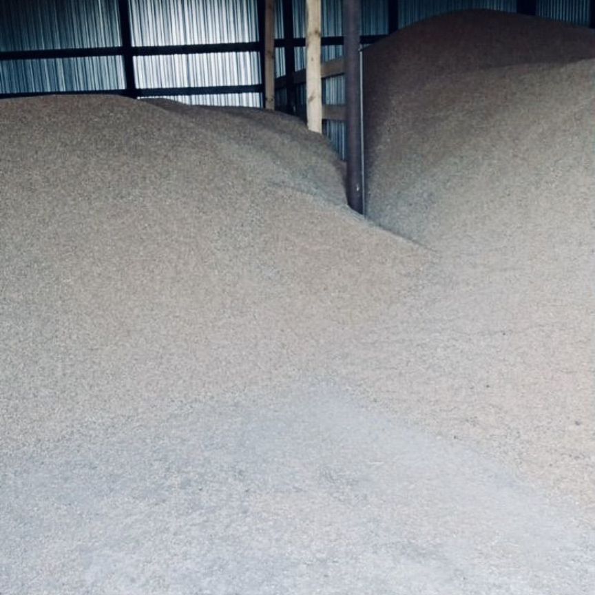 Зерно пшеница ячмень