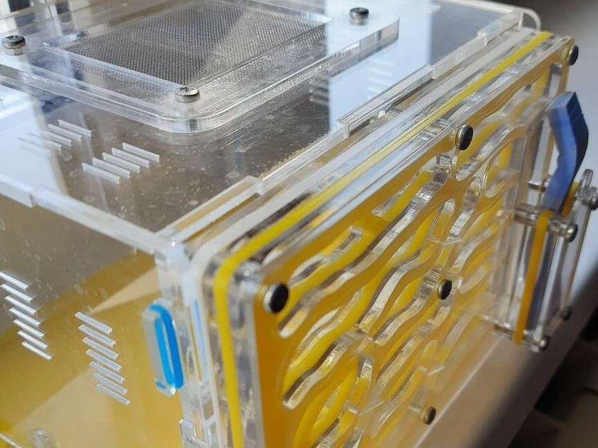 Муравьиная ферма