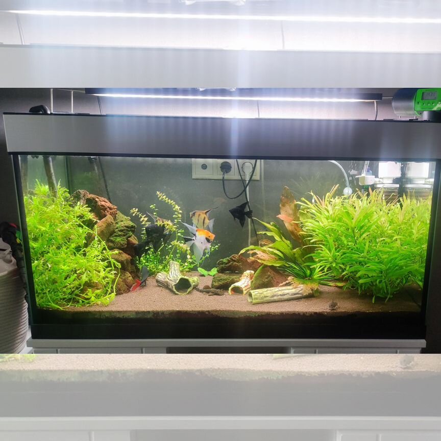 Аквариум+ тумба+ аксессуары