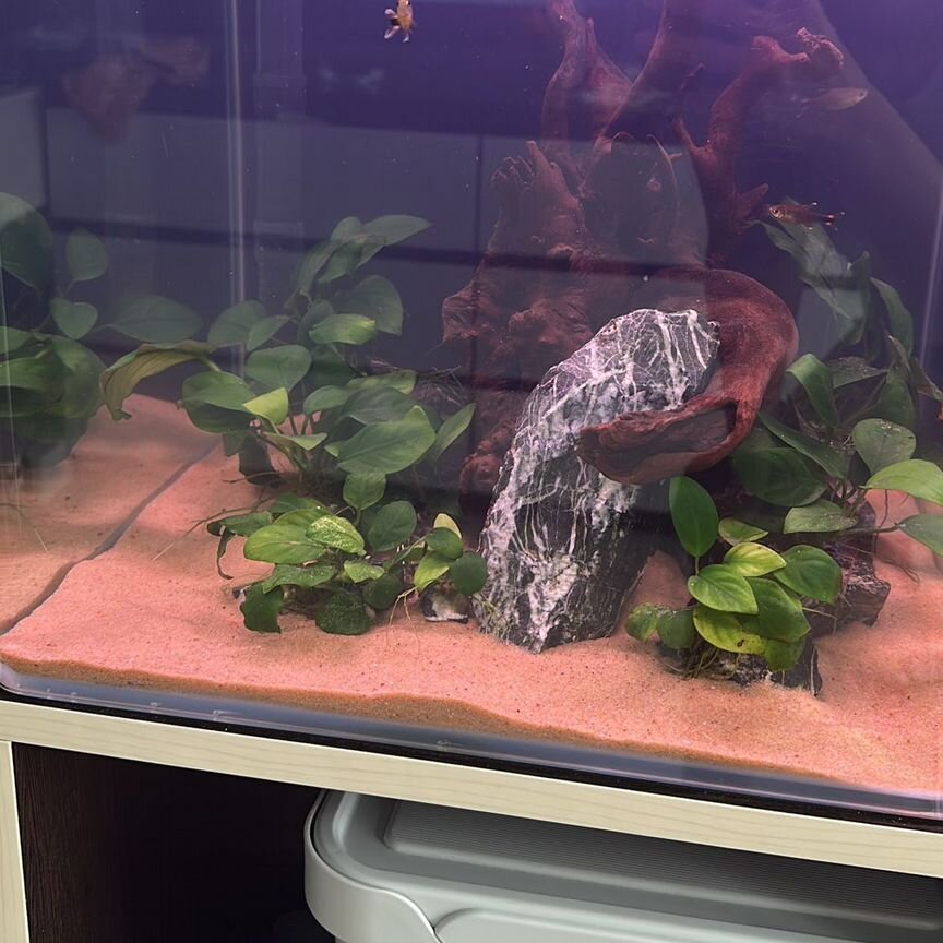 Аквариум 48л prime