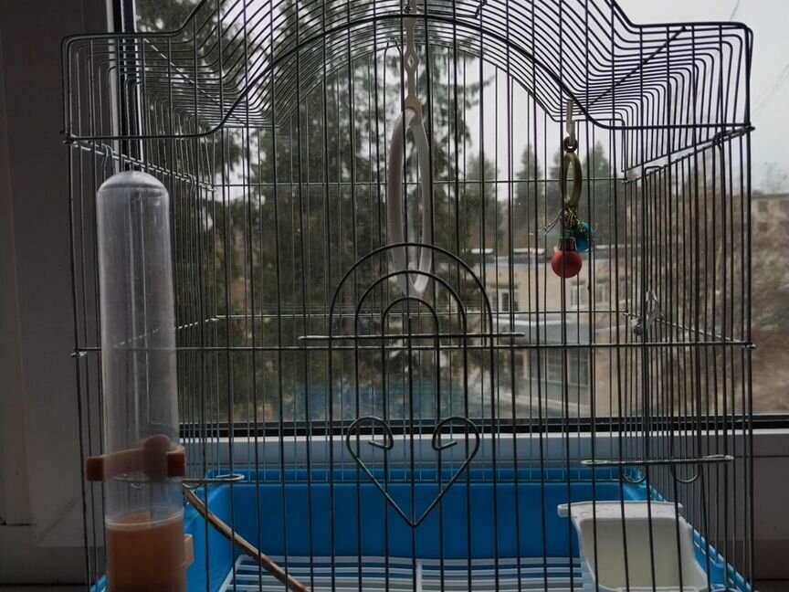 Клетка для попугая