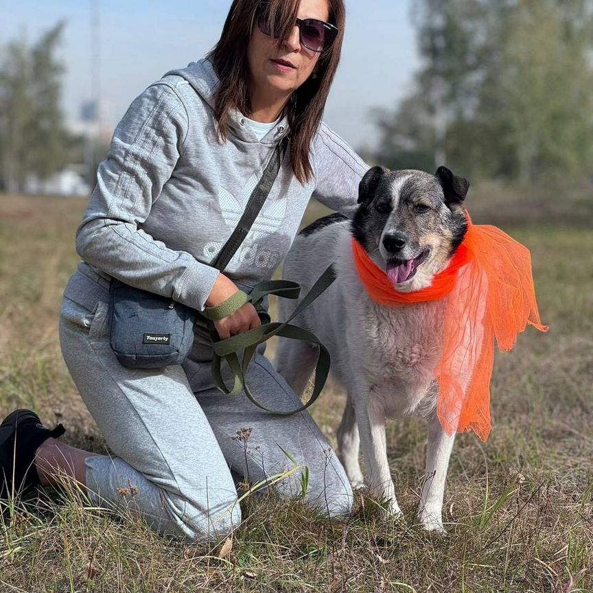 Самый нежный пес приюта Лютик