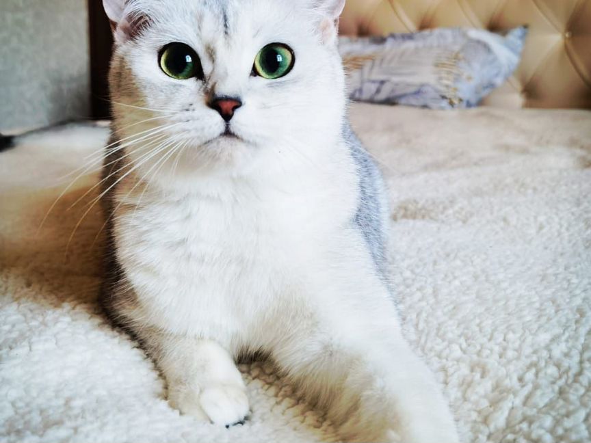 Ищем любящие ручки для девочки