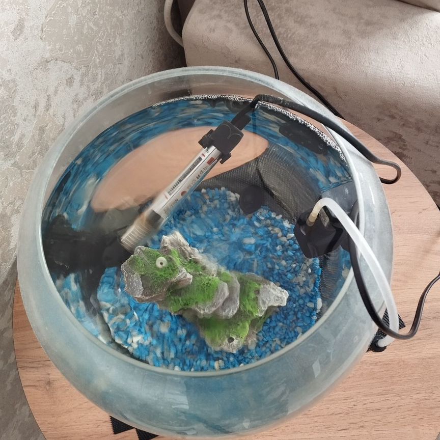 Аквариум круглый