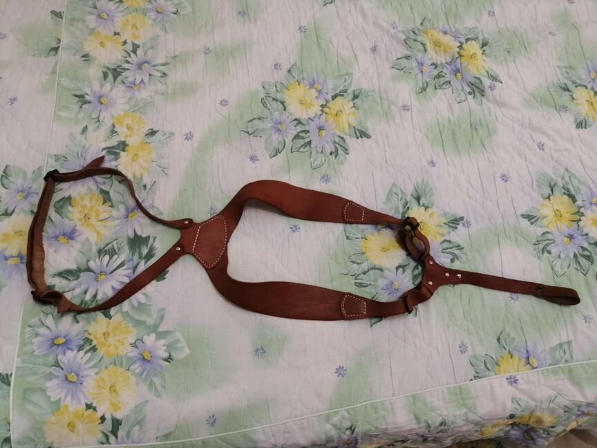 Шлейка кожаная для собак сред.и круп.пород