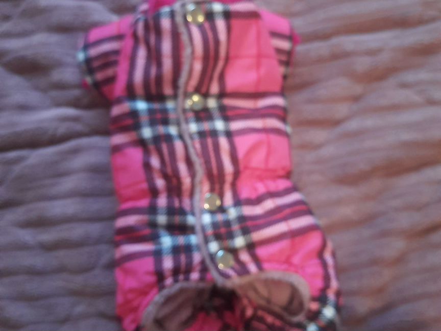 Костюм для собачки