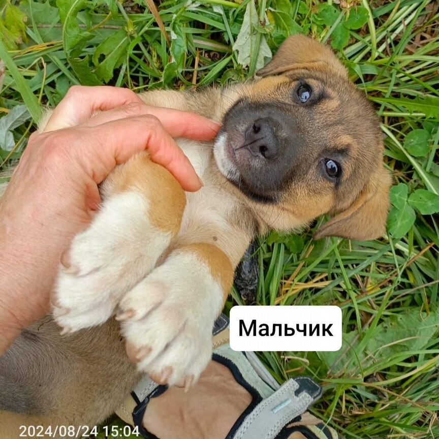 Спасти пройти мимо Решать Вам