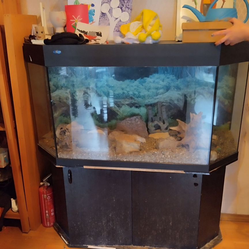 Террариум с тумбой