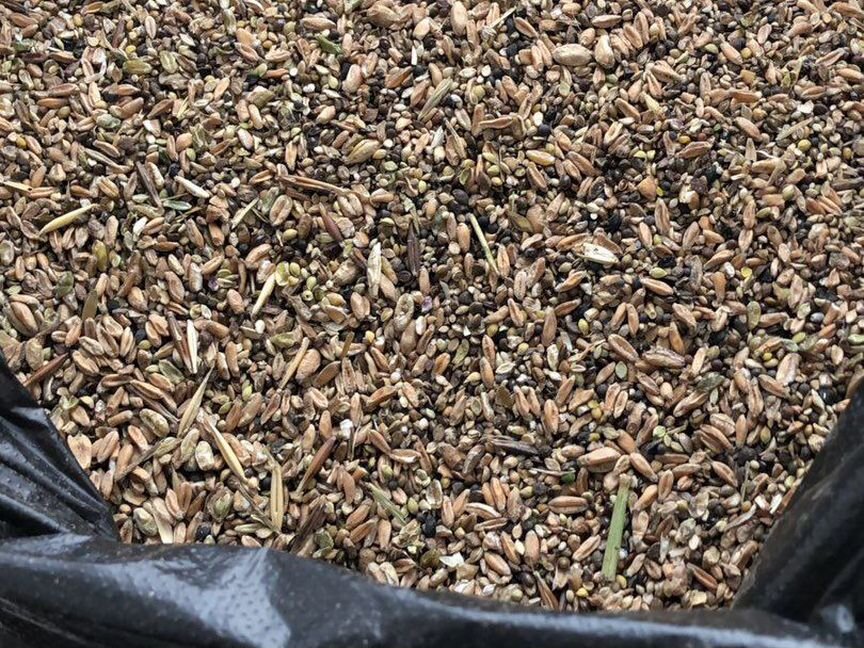 Зерноотход