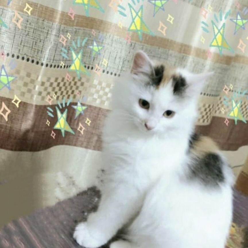 Нежная, активная малышка в заботливые руки