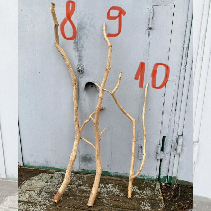 Коряги для террариума и интерьера