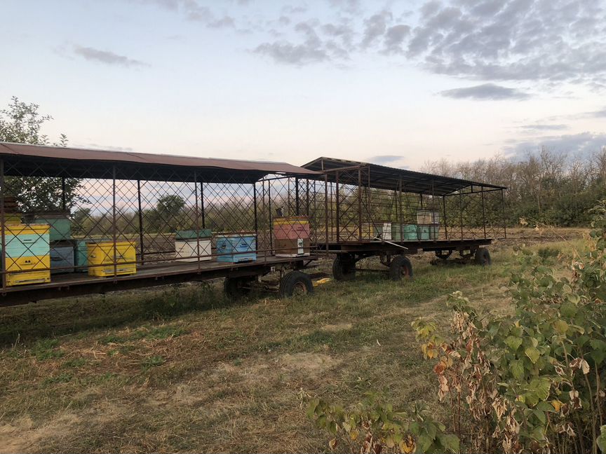 Телега для пчел