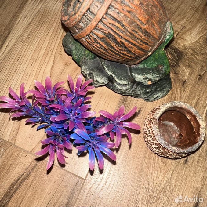 Ракушка декор для акваривма