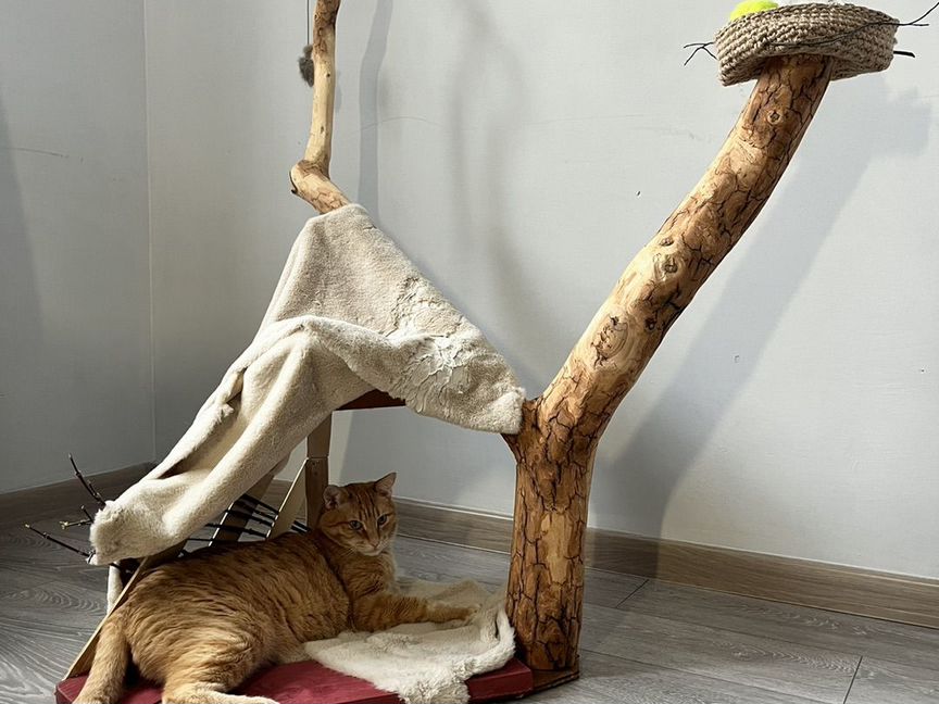 Домик для кота. Дерево для кошки