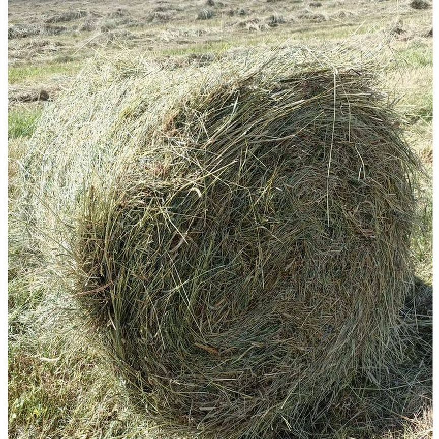 Сено с доставкой