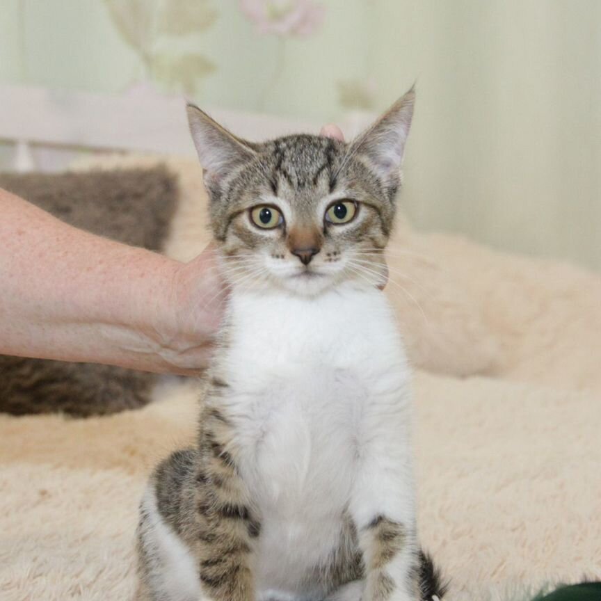 Добрая Машенька 5 месяцев в дар