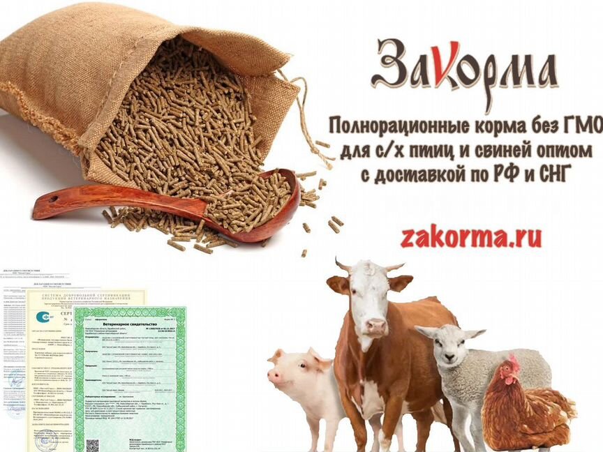Полнорационный корм (комбикорм) для кур, свиней