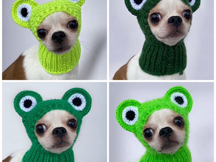 Шапочка лягушка / клубничка для собак