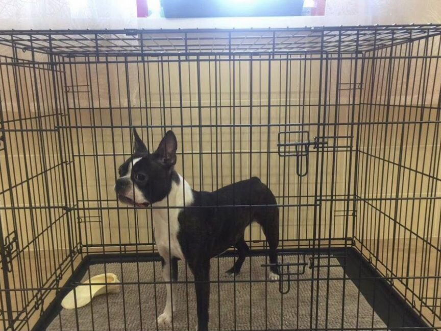 Клетка двух дверная 76*59*51 №3