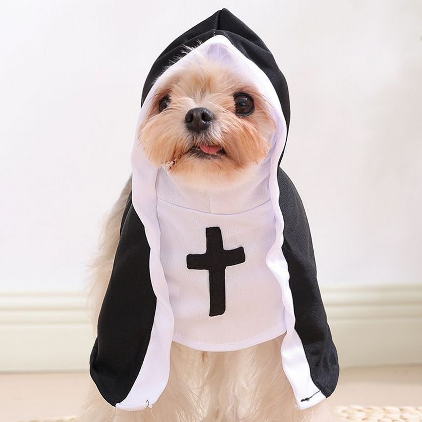 Костюм для собак и кошек