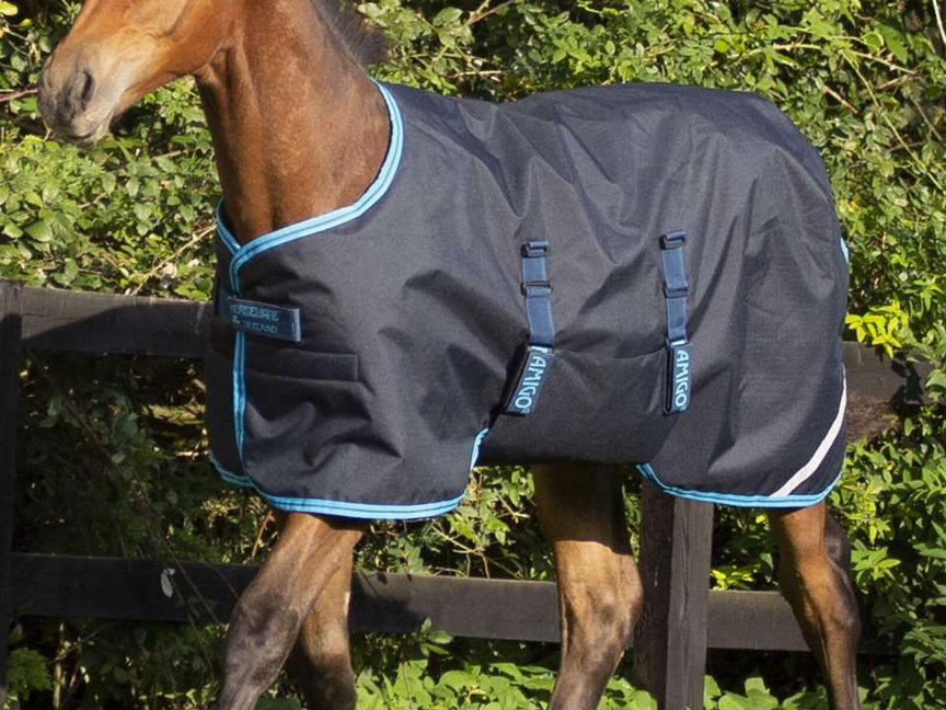 Попона дождевая 50 гр для жеребенка
