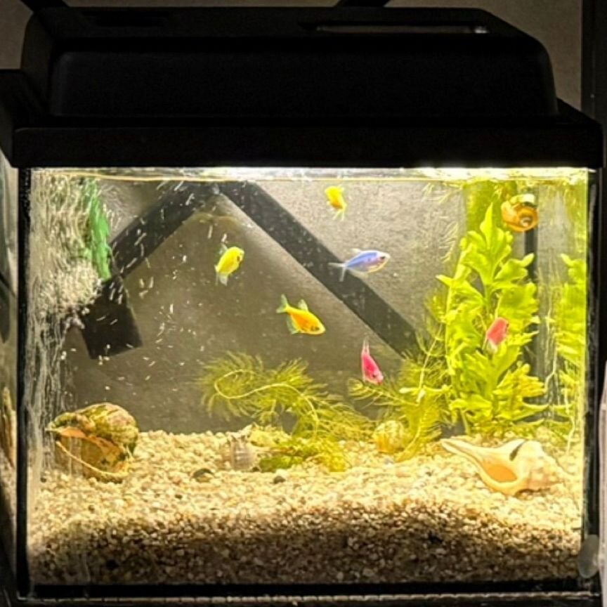 Аквариум 20 литров