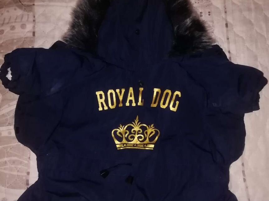 Одежда для маленьких собак