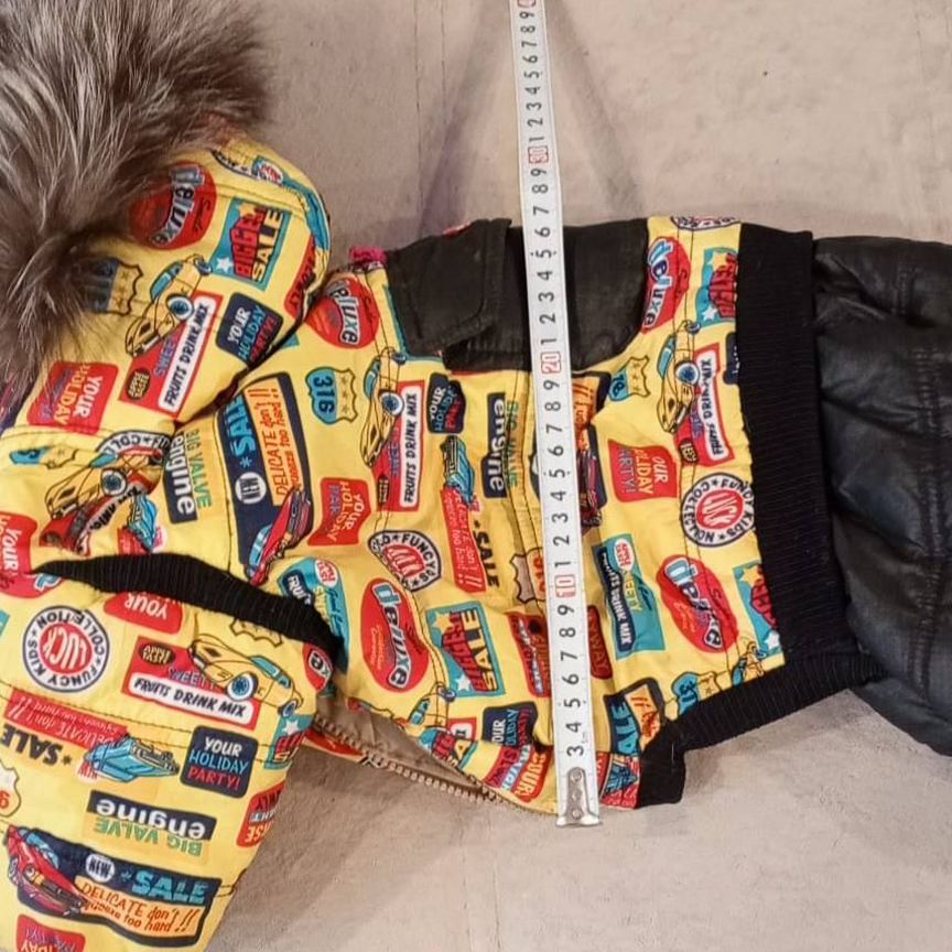 Одежда для собак