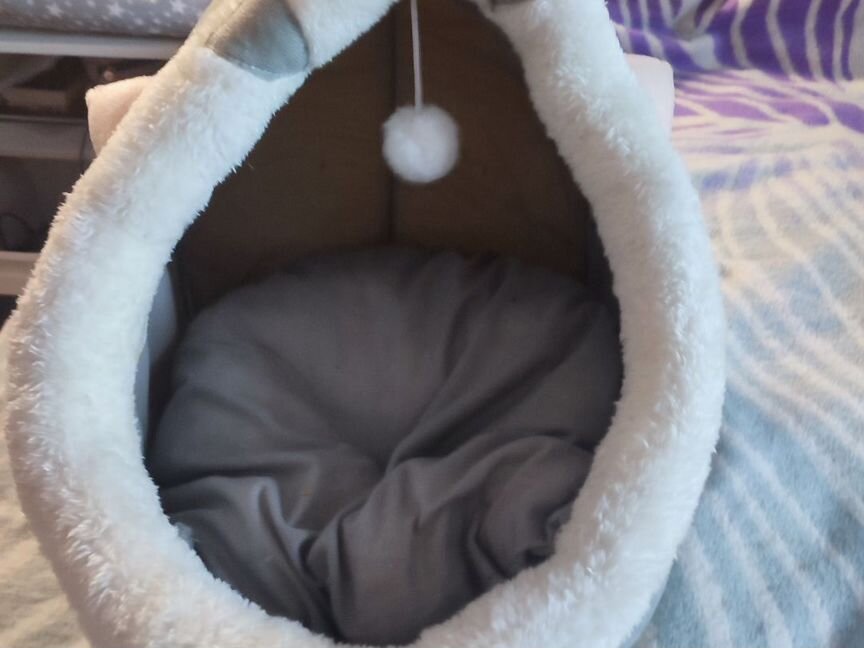 Домик для котика