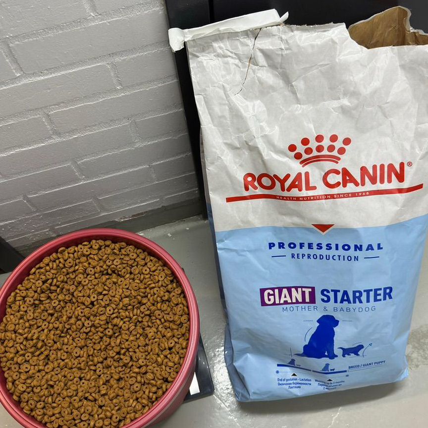 Royal canin giant starter 10 кг