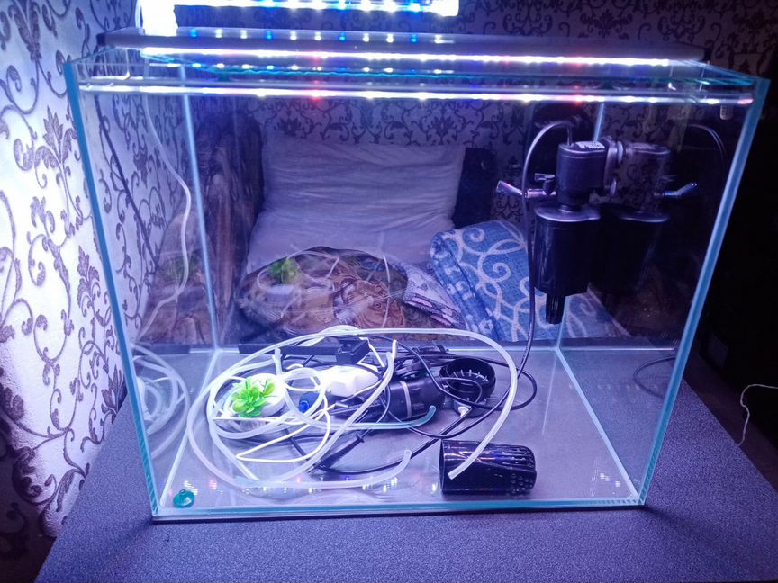 Аквариум и аксессуары