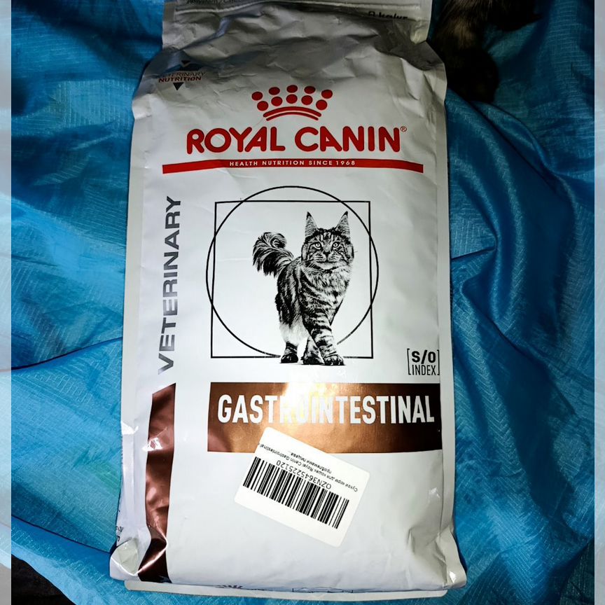 Корм Роял Конин Гасто