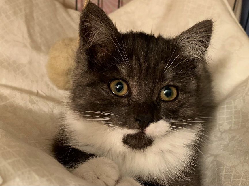 Принцесса Клюковка ищет маму