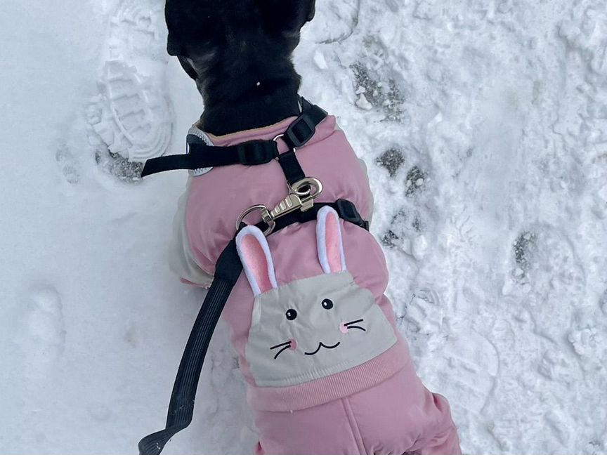 Комбинезон для собак Зайка розовый Petmax