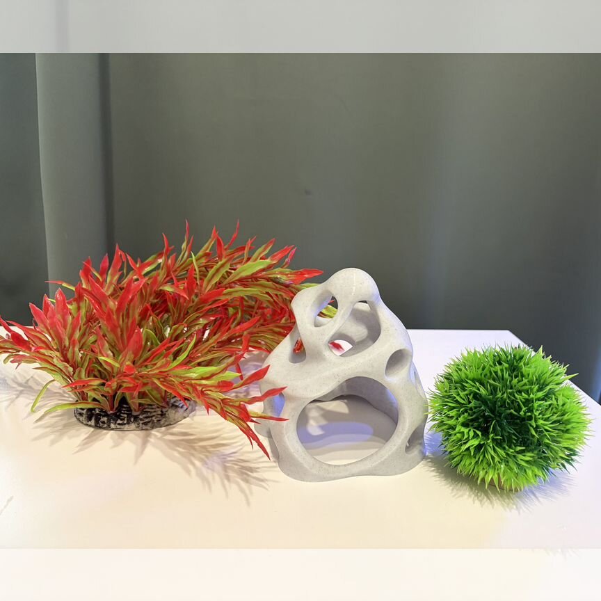 Аквариумные растения и грот