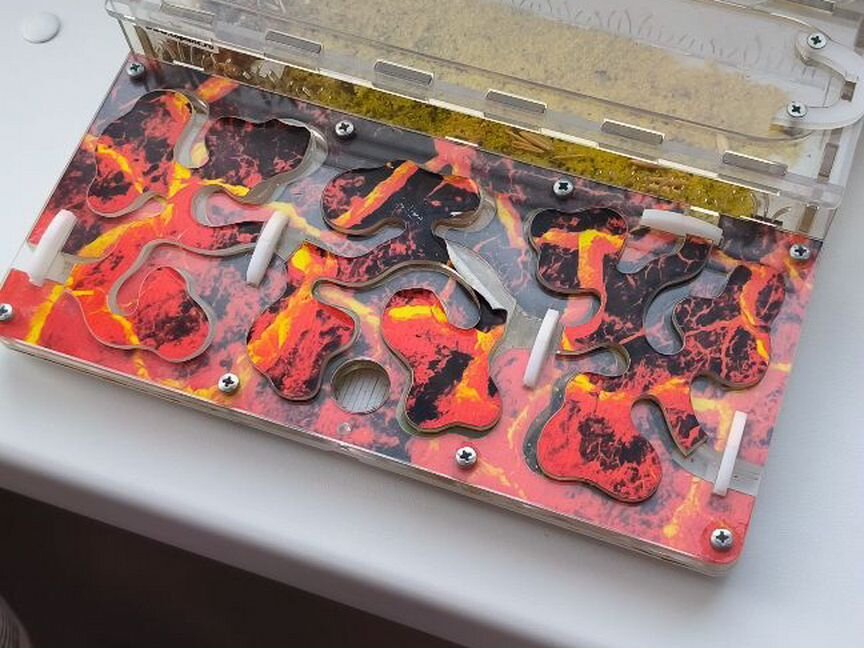 Муравьиная ферма