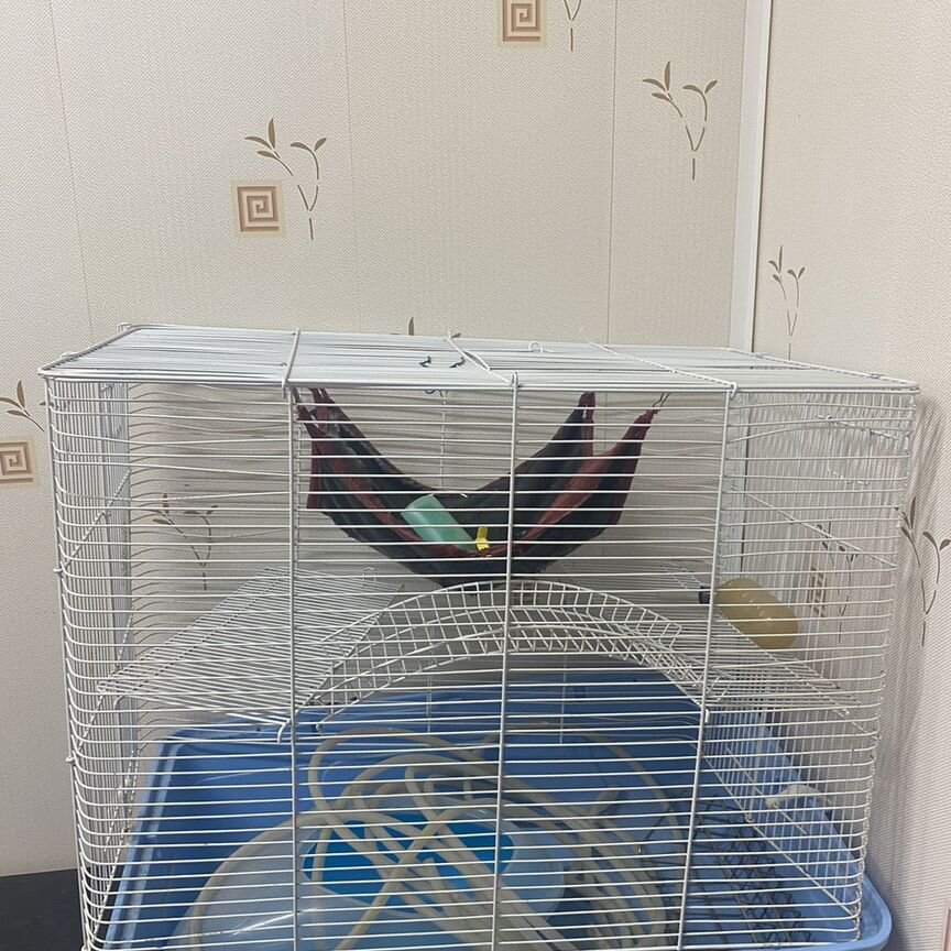 Клетка для грызунов бу