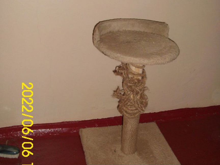 Лоток, когтеточка, свитерки, лежанки