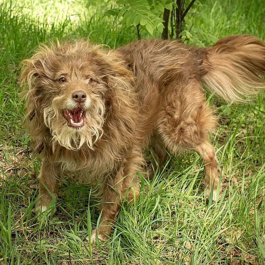 Чарли такой один и он ищет своего человека