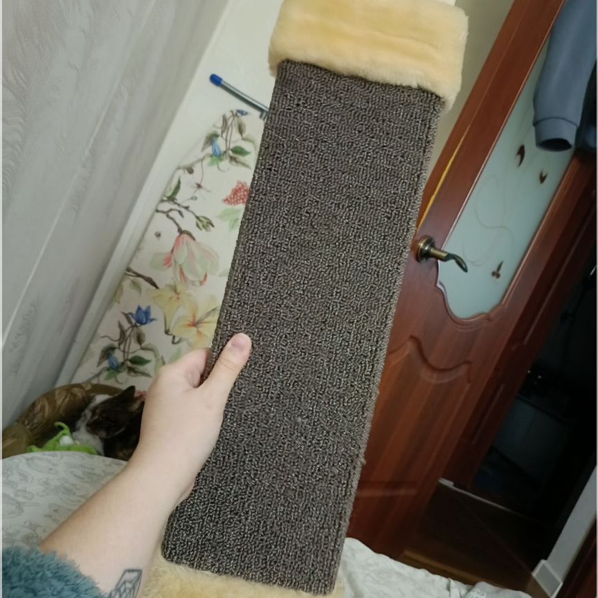 Когтеточка