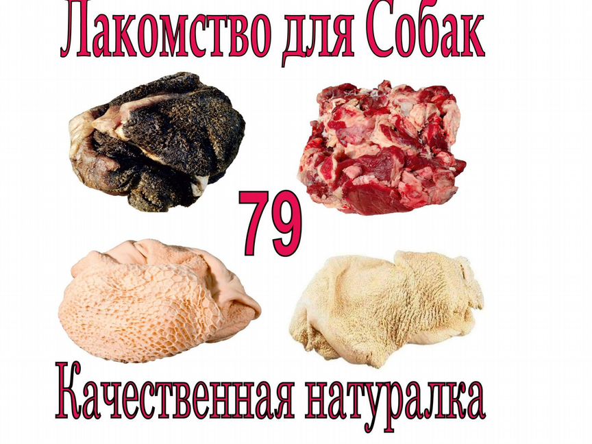 Корм говядина для собак, мясо, доставка